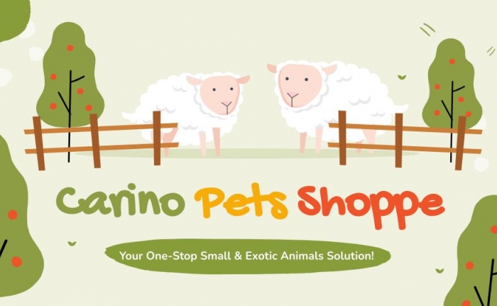 Carino Pets Shoppe - One-Stop Small & Exotic Pets Solution! - Mystartr ...