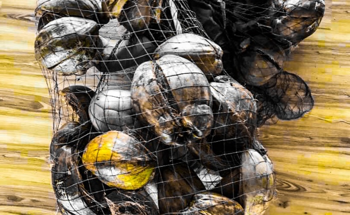 Your Memories, Our Identity - Mystartr: Crowdfunding in Malaysia