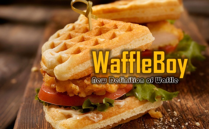 Waffle Boy - Mystartr: Crowdfunding in Malaysia