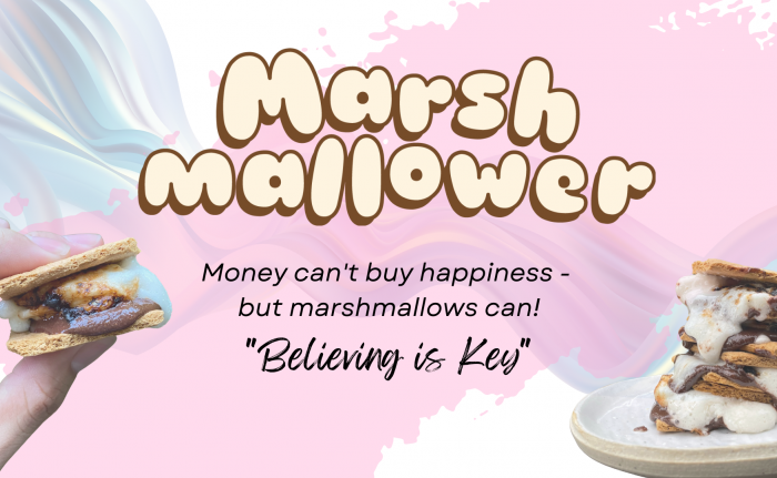 Marshmallower - Mystartr: Crowdfunding in Malaysia