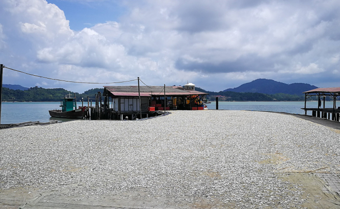 kimguan Pangkor - relook Ikan bilis - Mystartr: Crowdfunding in Malaysia